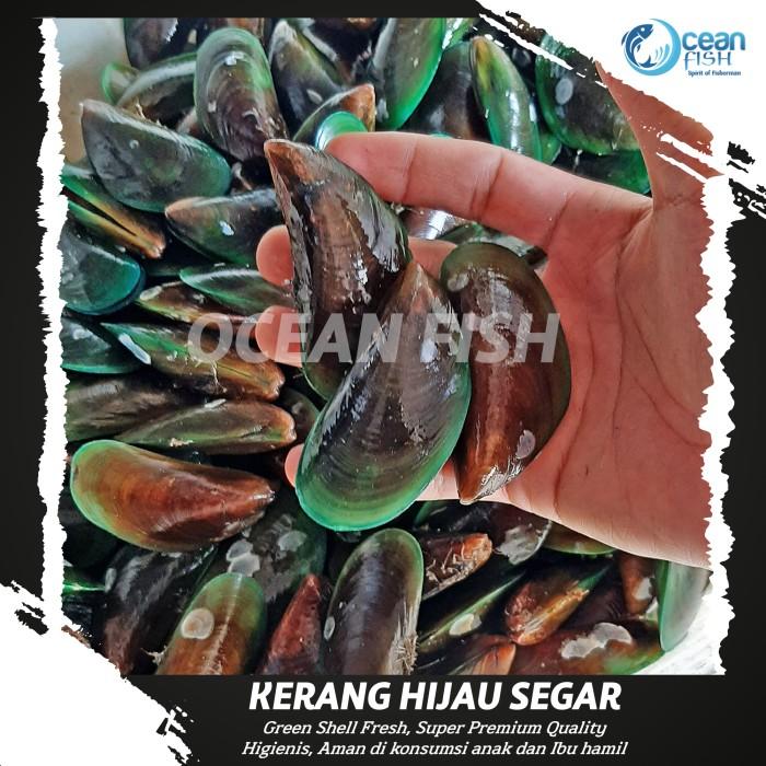 Jual Kerang Hijau Segar 1kg / Kerang Kijing / Kerang Ijo Fresh ...