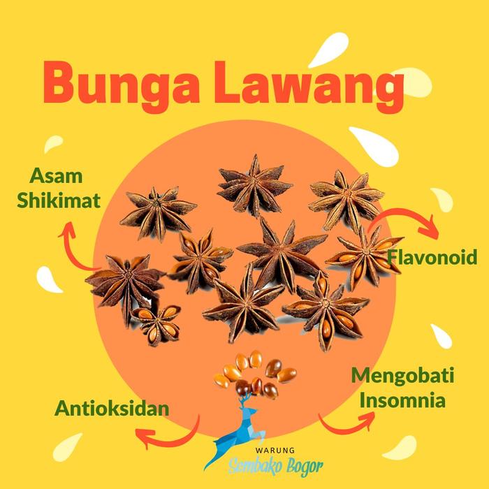 Jual Bunga Lawang Pekak Star Anise Kering 5 Gram Rempah Tradisional ...