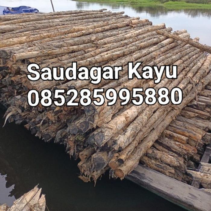 Jual kayu dolken gelam 4 meter - 10-12 CM - Jakarta Utara - Toko Kayu ...