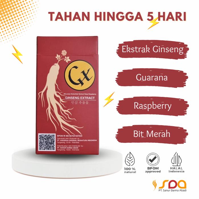 Jual [PAKET 3 BOX] GX Minuman Ginseng Extract Raspberry - Penambah ...