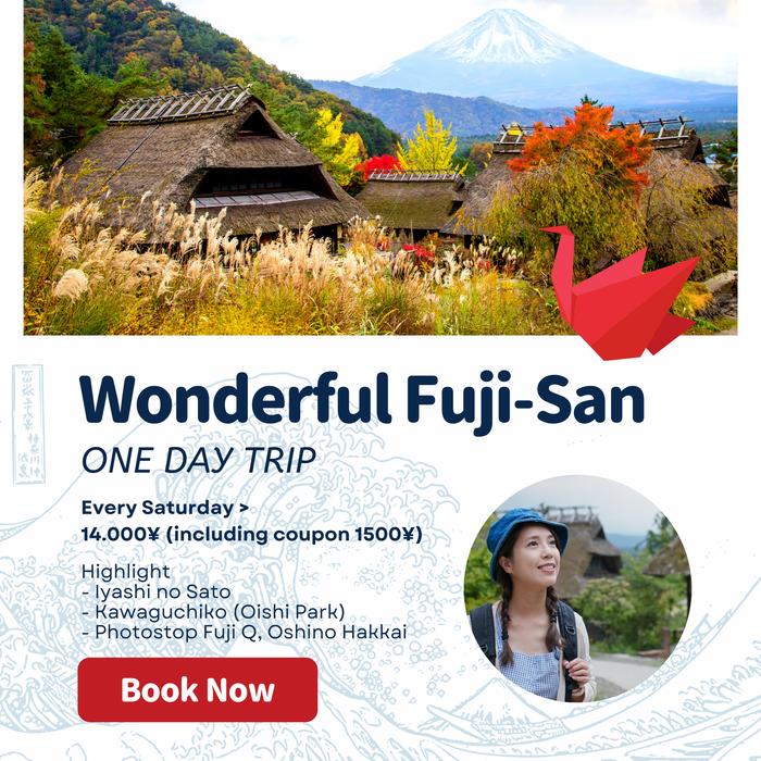 Jual Gunung Fuji A(One Day Trip) - Kab. Deli Serdang - Private Tour ...