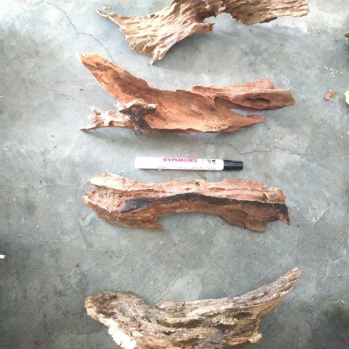 Jual kayu rentek aquascape 28-35cm - Kab. Deli Serdang - FishstoreRs ...