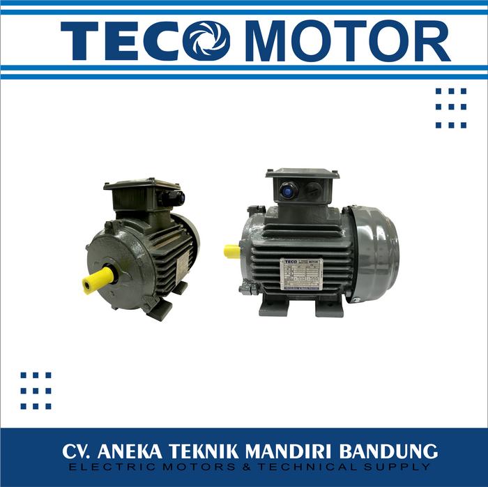 Jual TECO INDUCTION MOTORS / TECO ELECTRO DINAMO MOTORS / MESIN INDUSTRI / ELECTRIC MOTOR ...