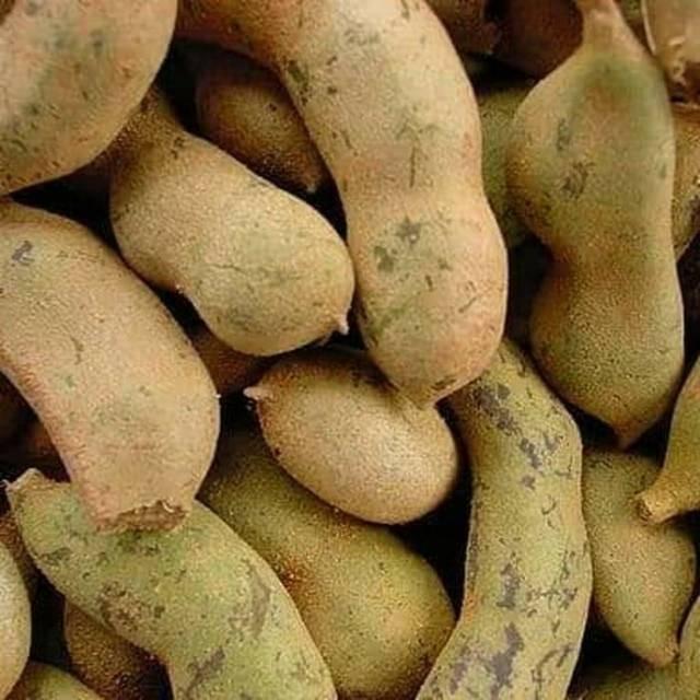 Jual Asem jawa muda sgar,buah asem jawa muda,cempaluk.100 gr - Jakarta Selatan - Bukitlumpang ...