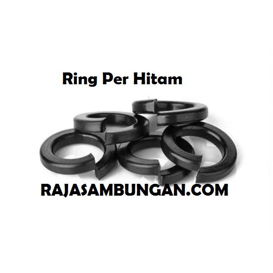 Jual Ring Per 1 1/8 inch Pengunci Baut Spring Washer Ring Ver Plat ...