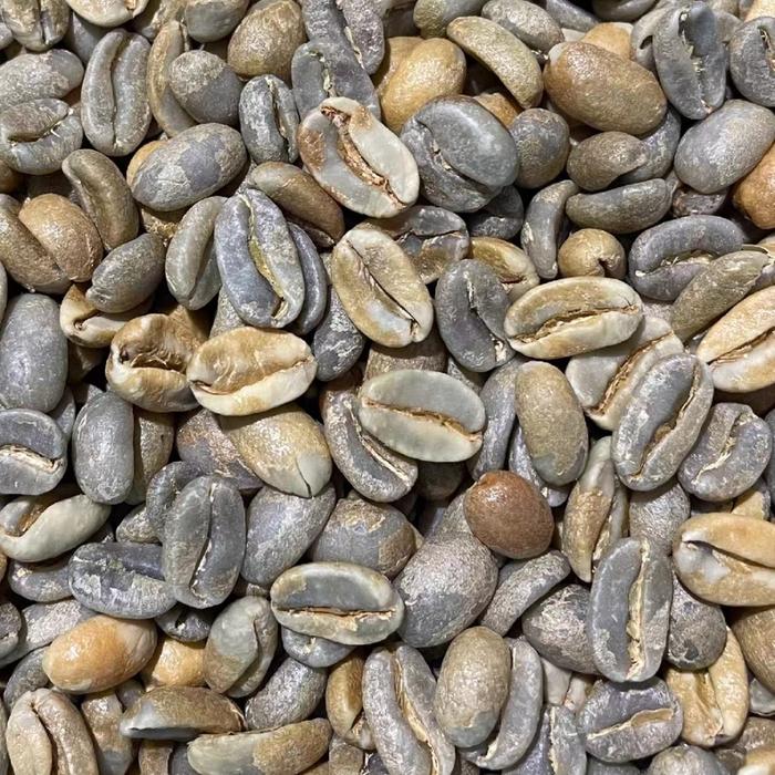 Jual Panama Geisha Nano Lot 47 CCD 2022 Green Beans - Jakarta Barat ...