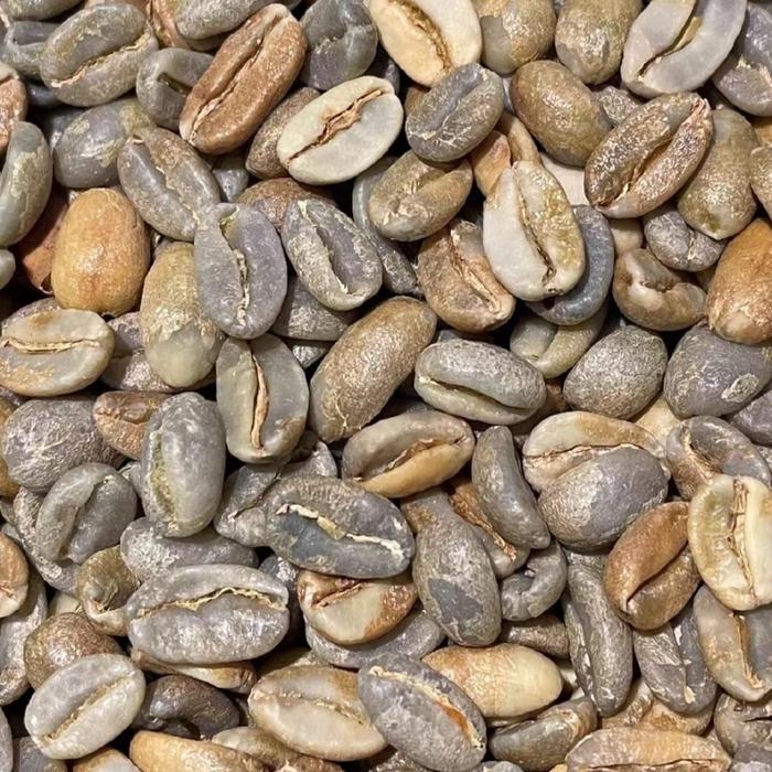 Jual Panama Geisha Nano Lot 24 CCD 2022 Green Beans - Jakarta Barat ...