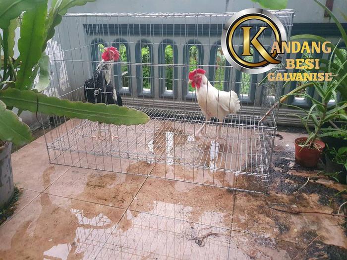Jual kandang ayam galvanis p100L60T80 cm / kandang box hewan bahan besi ...