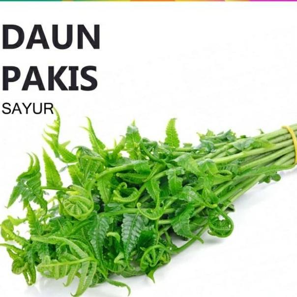Jual daun pakis segar 1ikat/daun pakis/sayur segar/sayur hijau ...