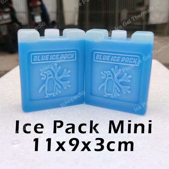 Jual Ice Pack Mini 11x9x3cm Thermafreeze Blue Ice Gel Pack - Dry Ice ...