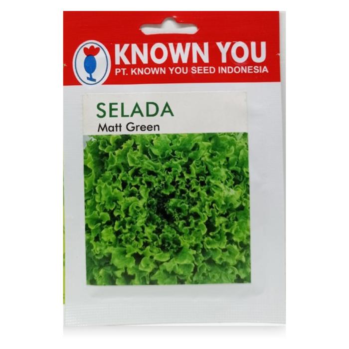 Jual SELADA MATT GREEN 5 GRAM PACK KECIL biji Benih Selada Hijau keriting K - Kota Semarang ...