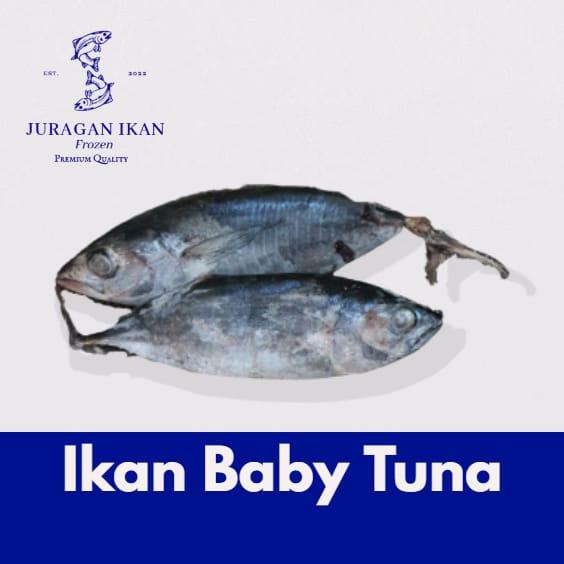 Jual Ikan Baby Tuna Segar Beku - Kota Tangerang - Juragan Ikan Frozen ...