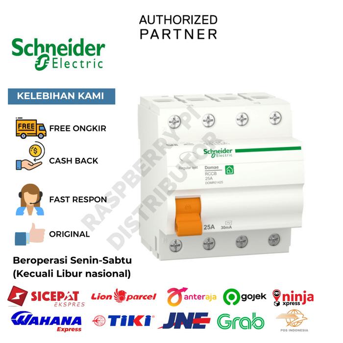 Jual Schneider DOMR01425 RCCB / ELCB NEW DOMAE 3P+N 25A 30mA - Jakarta ...