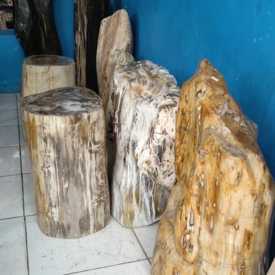 Jual Batu Fosil kayu sudah di poles cocok untuk duduk di taman - Kab ...