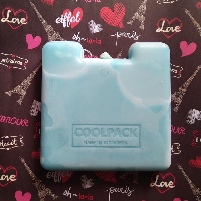 Jual ICE PACK KOTAK Dingin Cooler Tas Tahan Lama Suhu Pengganti Es ...