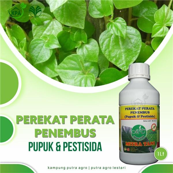 Jual PEREKAT - PERATA - PENEMBUS PESTISIDA DAN PUPUK PLUS ZPT - Kota ...