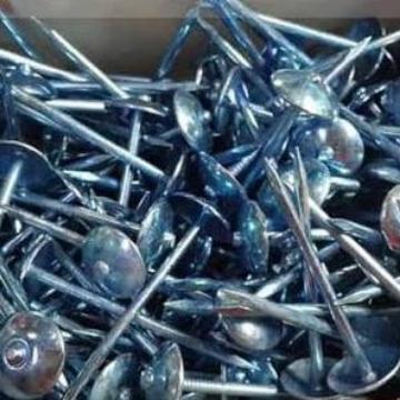 Jual PAKU SENG / PAKU PAYUNG 2 DIM / 2 INCH (5CM) 1 DUS 20KG - Kota ...