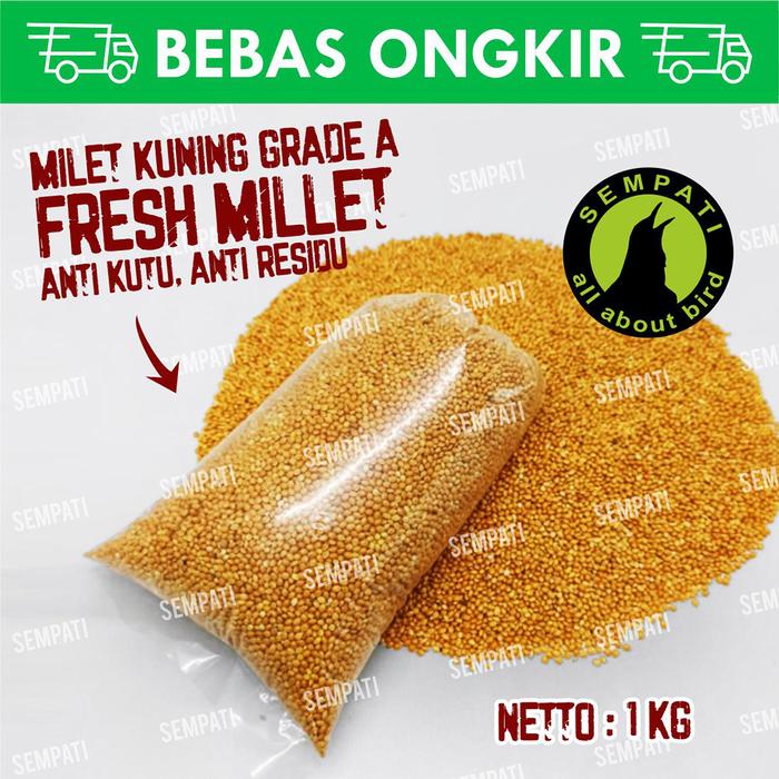 Jual MILET KUNING 1 KG BIJI MILLET YELLOW SEED PAKAN BURUNG LOVEBIRD ...