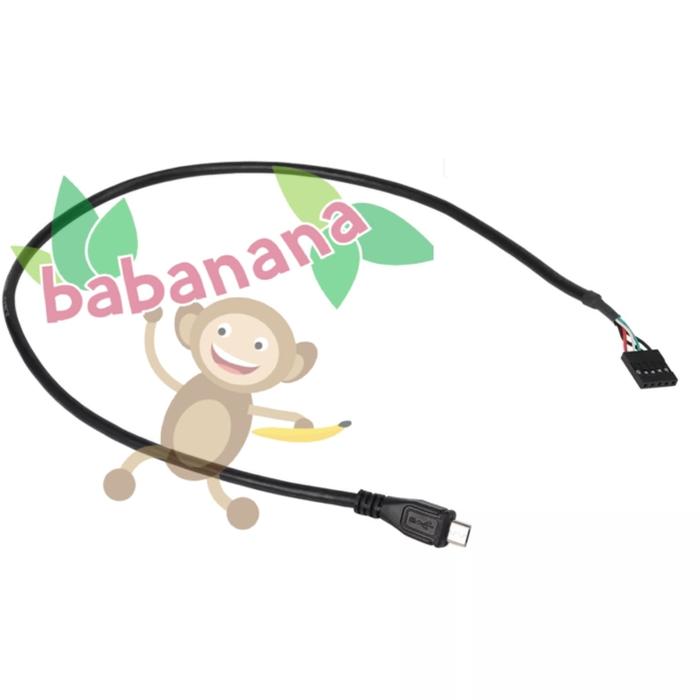 Jual 5 Pin Usb Header Motherboard To Micro Usb Aio Cable Kabel ...