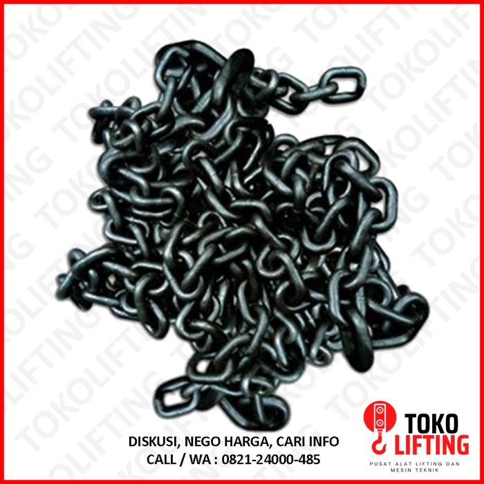 Jual Tambah Rantai Electric Chain Hoist Nagasaki 2 Ton (10mm) - Load ...