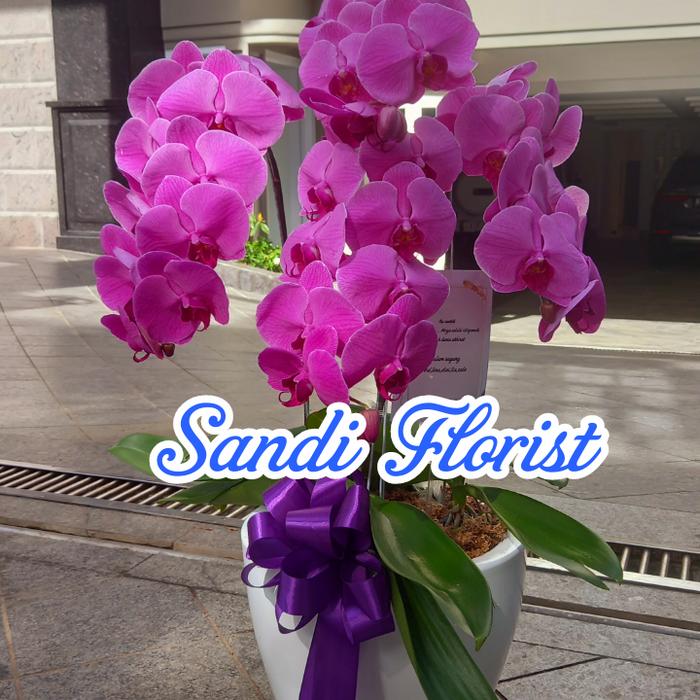 Jual bunga rangkaian rangkaian anggrek bulan hadiah ulang tahun ...