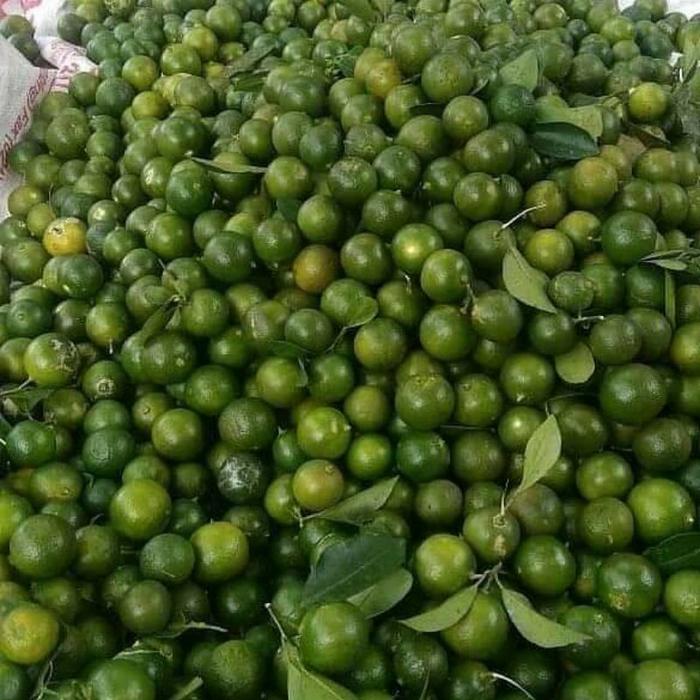 Jual Jeruk sonkit 1kg/ Jeruk kasturi/ Lemon Cui/ Jeruk kunci - Kota Depok - D'store54 | Tokopedia