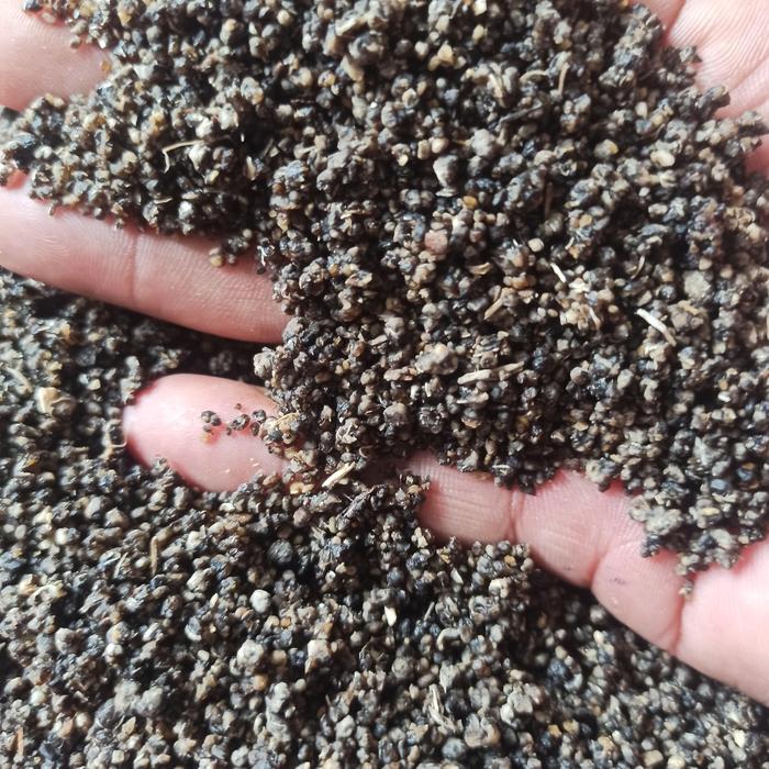 Jual Tiwul Oyek Hitam 1 kg Premium - Jakarta Utara - BunBun Snack ...