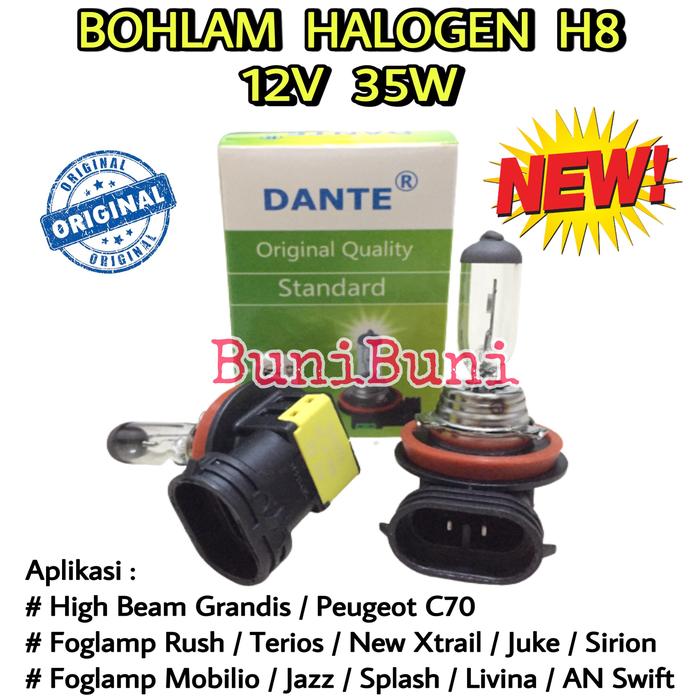 Jual Bohlam Lampu H8 12V 35W Lampu Kabut Foglamp Brio Mobilio BRV HRV ...