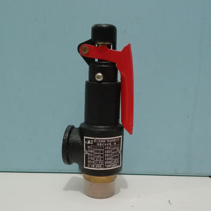 Jual SAFETY RELIEF VALVE CARBON STEEL UNTUK UDARA/STEAM/AIR DN25 (1 ...
