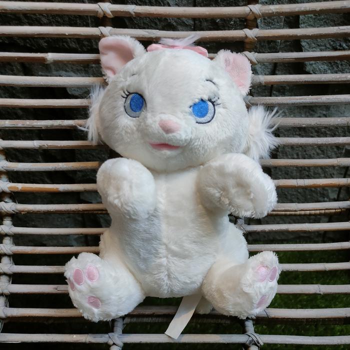 Kucing Marie