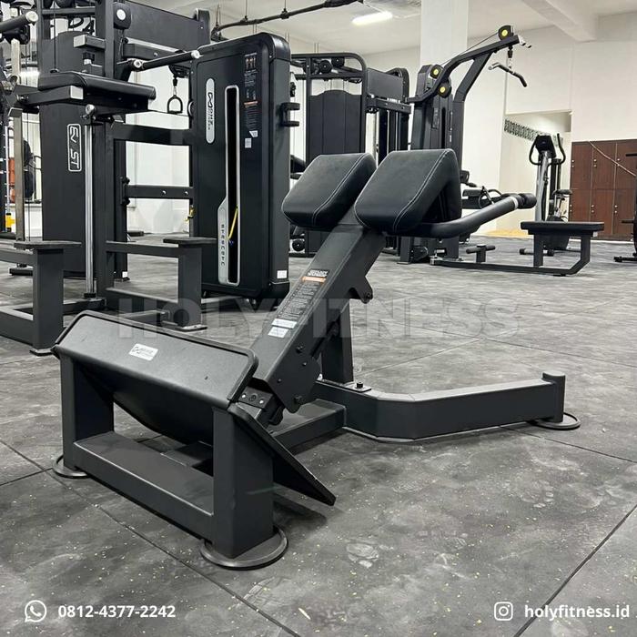 Jual DHZ Fitness Back Extension - Jakarta Selatan - HOLY FITNESS ...