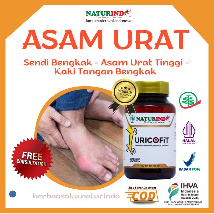 Jual Obat Asam Urat Nyeri Sendi Kaki Bengkak Pegel Linu URICOFIT ...