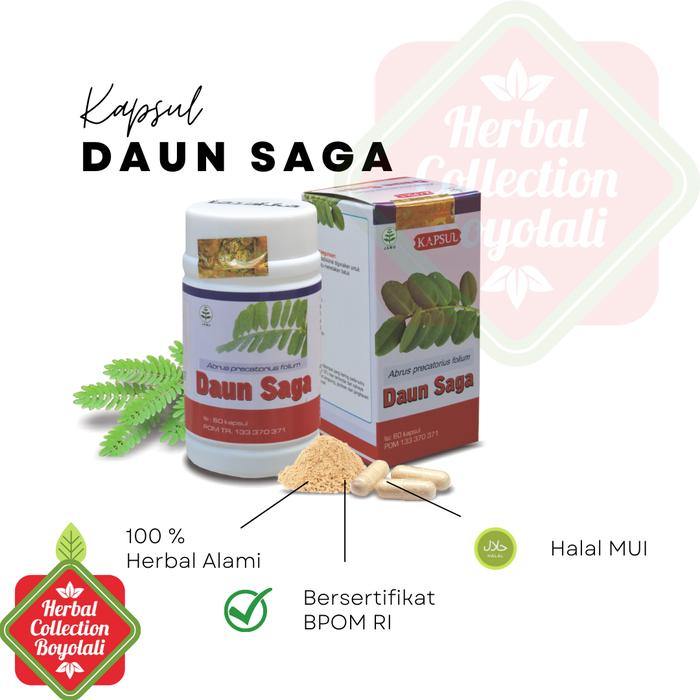 Jual Kapsul Daun Saga Tazakka untuk Batuk sariawan dan Radang ...