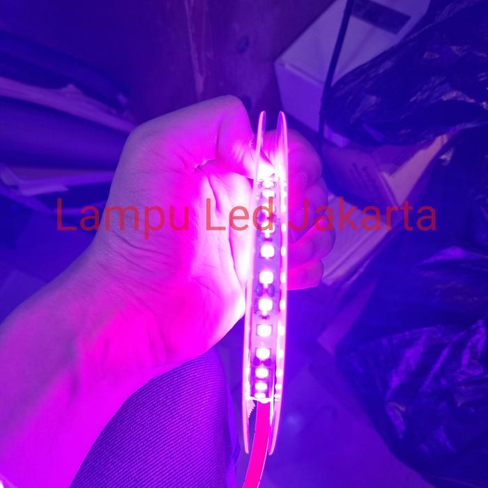 Jual lampu Led strip 120 mata ungu dc 12v 5meter. led strip purple ungu ...