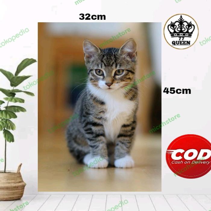 Jual HIASAN DINDING GAMBAR KUCING/POSTER GAMBAR KUCING/POSTER KAYU ...