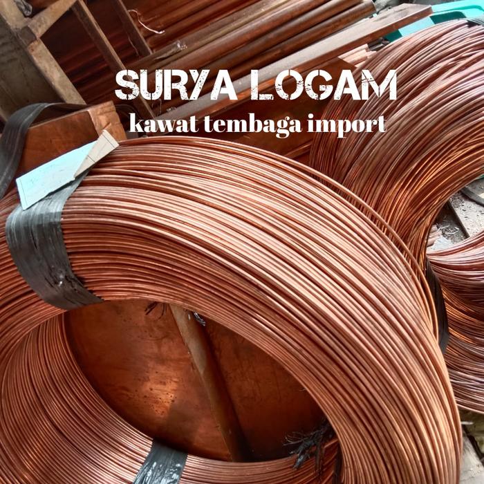 Jual kawat tembaga diameter 4 mm mm x panjang 1 meter Grounding rod ...