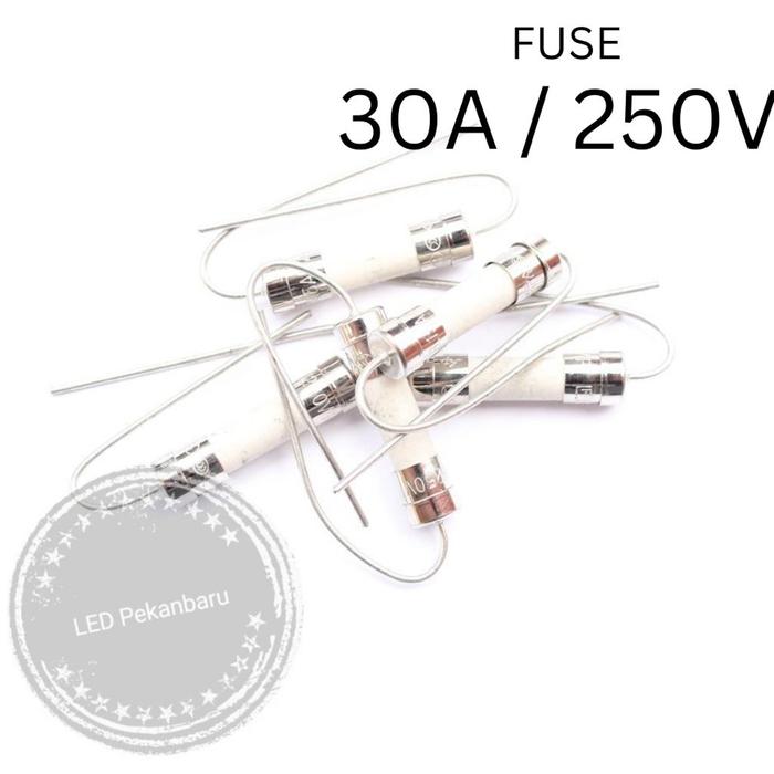 Jual FUSE 30A 250V 30 A KERAMIK KAKI SOLDER SEKRING 30AMPERE AXIAL ...