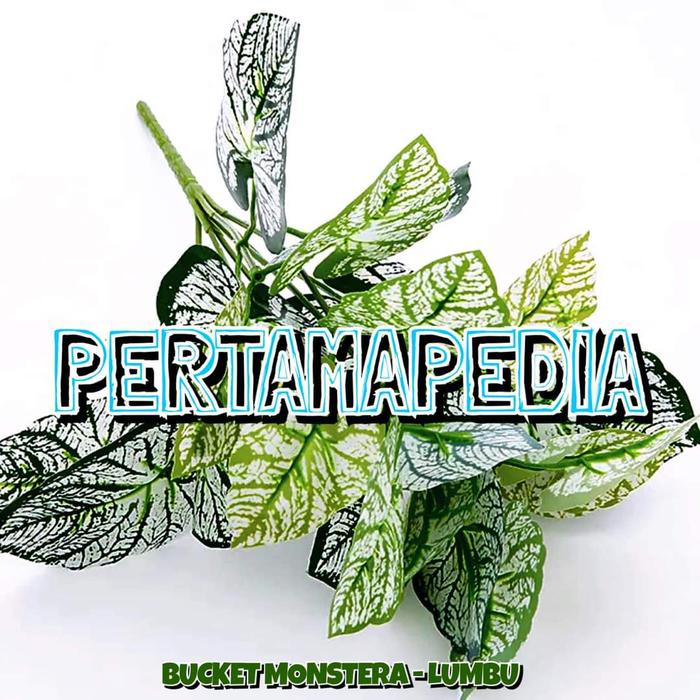 Jual Bunga Plastik/Daun Rambat/Rumput Plastik/Floral Foam/Oasis ...