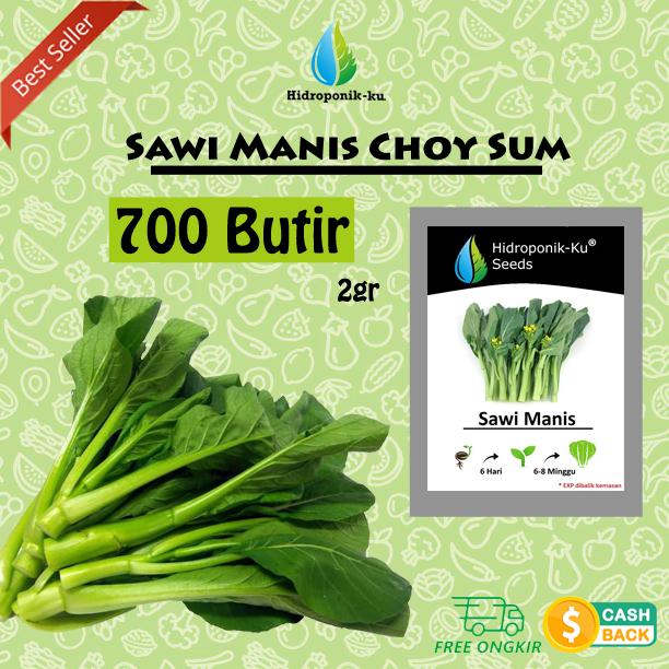 Jual Bibit/Benih Sawi Manis Choy Sum (700 Biji) - Hidroponik Ku ...