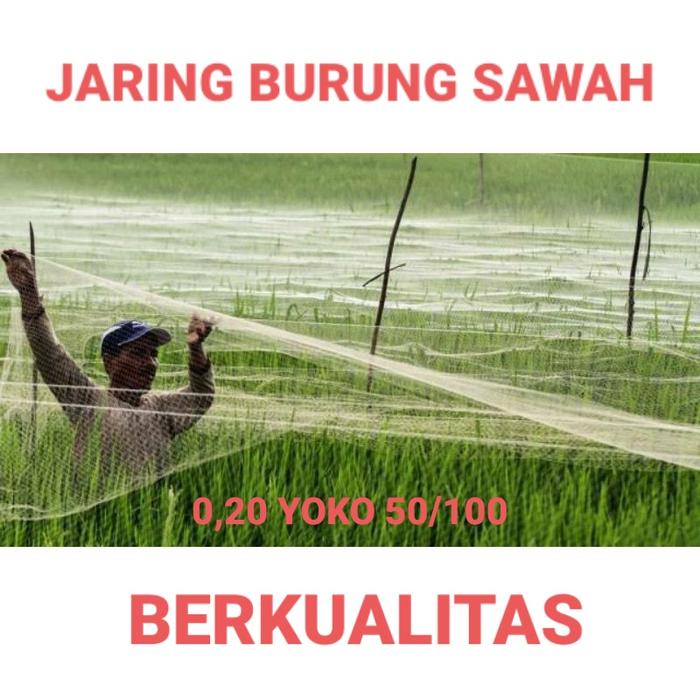 Jual Jaring Burung / Jaring Padi / Jaring Emprit / Jaring Sawah - 2 1/4 ...