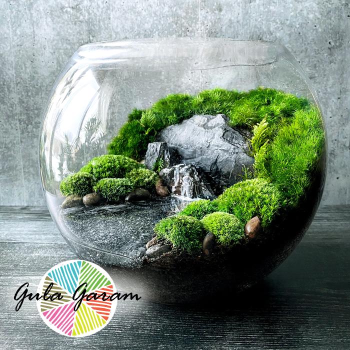 Jual Moss Sphagnum Bahanan 20x20cm Lumut Darat Hiasan Terrarium ...