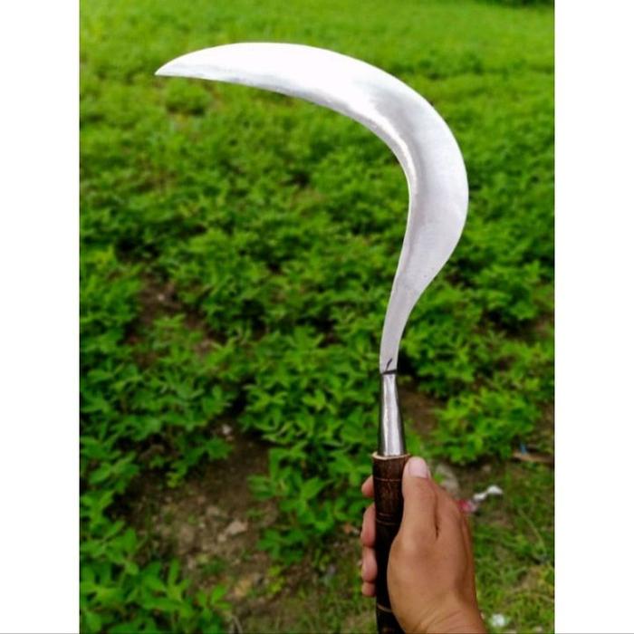Jual Arit rumput sabit Ranting Madura super kuat dan tajam Baja Per ...