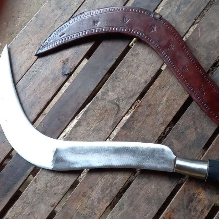 Jual Tandan Pisang Jumbo Lengkap Sarung - Kab. Bangkalan - Perkakas ...