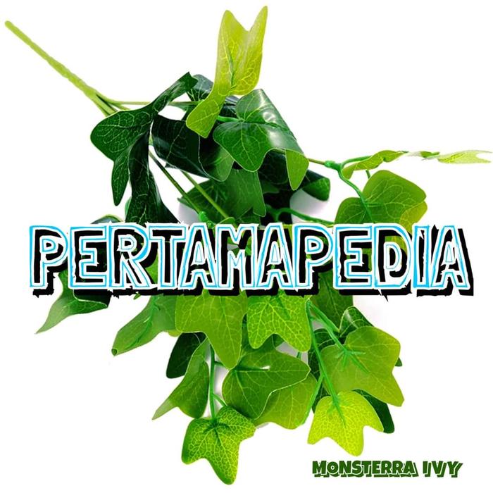 Jual Bunga Plastik/Daun Rambat/Rumput Plastik/Floral Foam/Oasis ...