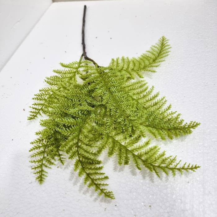 Jual Daun Pakis Fern Artificial x 10 - Jakarta Barat - Rumah Bunga ...