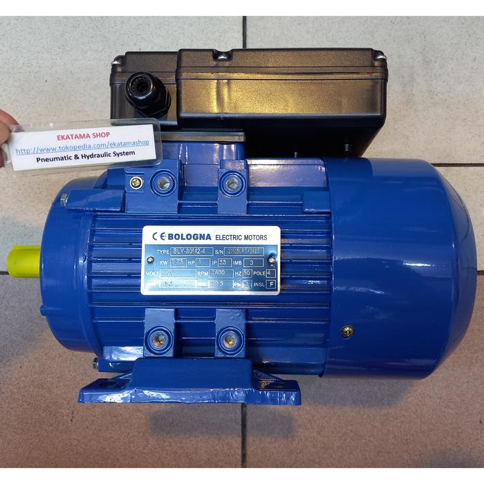 Jual Electric Motor Bologna 1HP / 0.75KW / 1PHASE (BLY-80M2-4 ...