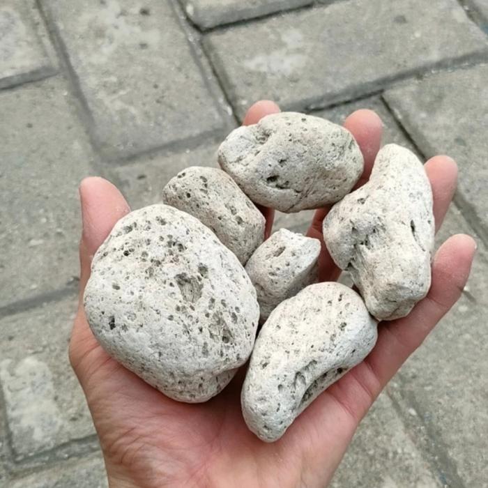 Jual Batu Apung Aquarium Aquascape Kolam / Media Filter Batu Apung ...