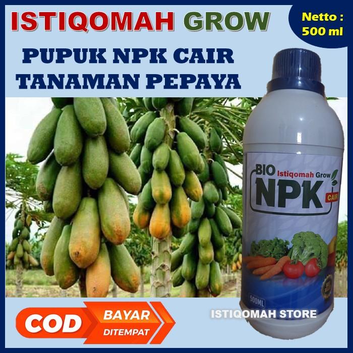 Jual ISTIQOMAH GROW 500ML Pupuk NPK Cair Tanaman Pepaya California Terbaik - Kota Tasikmalaya ...