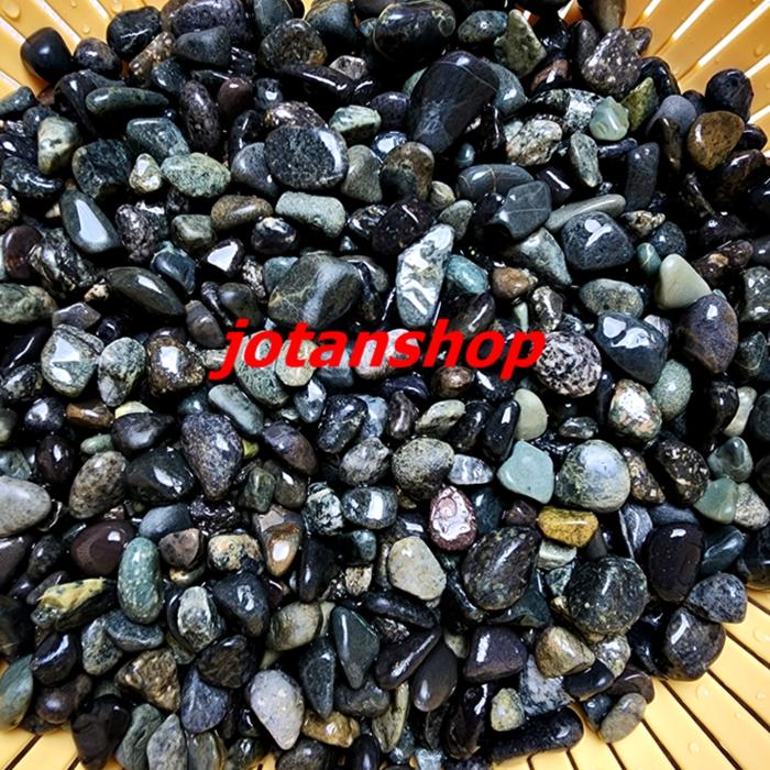 Jual Batu Kupang Coral Koral Hitam Kerikil 500gr Batu Alam Hias Taman ...