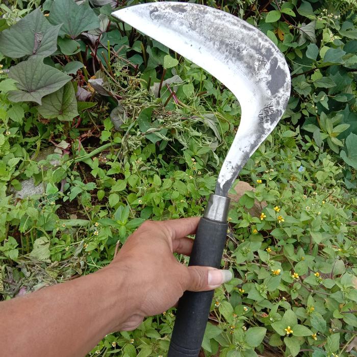 Jual arit rumput super tajam - Kab. Garut - neng salpa | Tokopedia